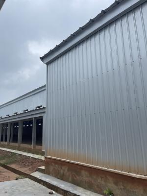 China 5000 Birds Capacity Hot-dip Galvanized Steel Poultry House With Climate Control System for sale