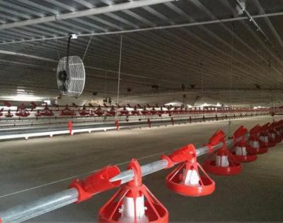 China Galvanized Steel Poultry House with 50-Year Lifespan and Mesh Screened Windows for sale