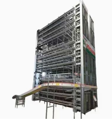 China Fully Automatic Hot-Dip Galvanized Steel Layer Chicken Cage with 15-20 Years Lifespan for Large-Scale Egg Collection for sale