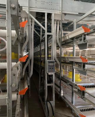 China Automatic Feeding Corrosion Resistant Poultry Farm Equipment with Multi-tier Manure Removal Layer Chicken Cage for sale