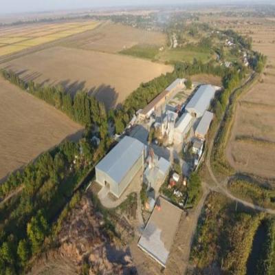 China Galvanized Steel Poultry House with Customizable Design and Onsite Installation for Chicken Farm for sale