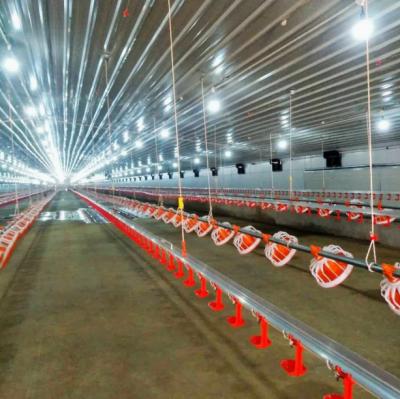China Customizable Modern Smart Automated Control Galvanized Steel Poultry Farm Equipment with Modular Design for sale