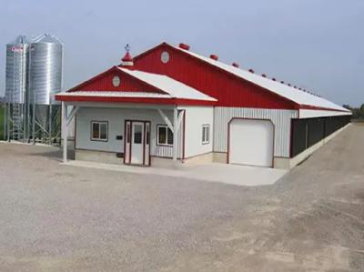 China Modular Prefabricated Steel Poultry House with Hot-DIP Galvanized Finish and Automatic Ventilation System for sale