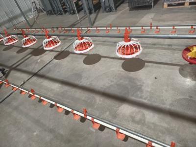 China Approved Automatic Chicken Poultry Farming/Farm/House/Shed/Coop Cage/Machine/Equipment for Feeding and Drinking System for sale