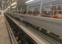 China Automatic Controller Ventilation Control System for Poultry Farms with Hot Galvanized Steel and CE Certification for sale