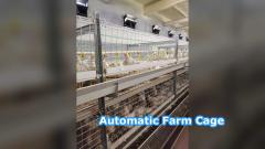 Agrieso Automatic Chicken Cage Farm System