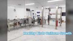 Breeder Cage: Healthier Birds Uniform Growth
