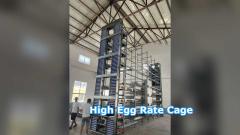 H Type Layer Cage High Egg Rate Ventilation