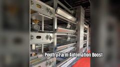 Poultry Farm Automation System Factory Direct