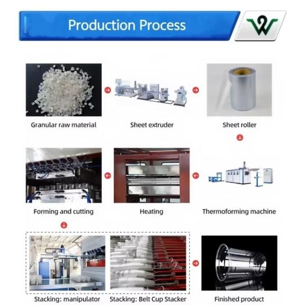 Quality 15KW Fully Automatic Plastic Cup Making Machine with 450X750mm Forming Area and for sale