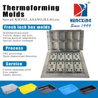 Quality Thermoforming Mould Positive And Negative Pressure Mold Three Dimensional for sale