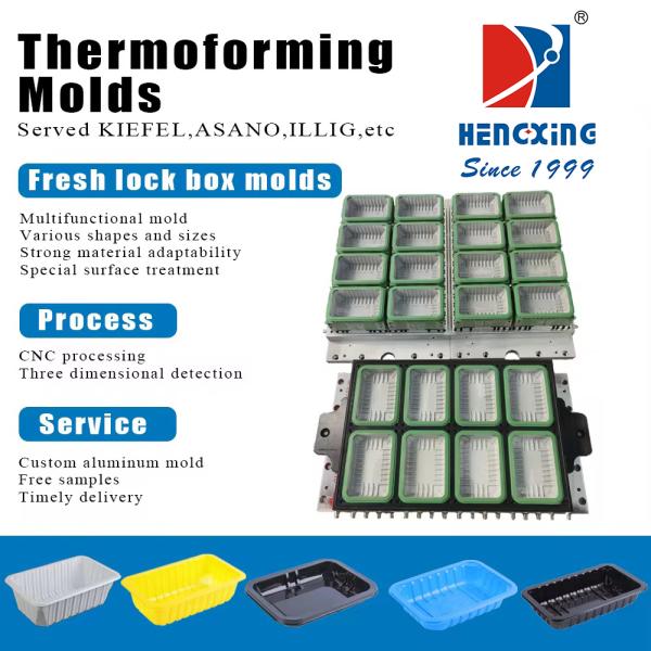 Quality Thermoforming Mould Positive And Negative Pressure Mold Three Dimensional for sale