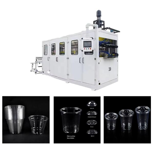Quality High Speed Disposable Plastic Cup And Plate Making Machine 380V for sale