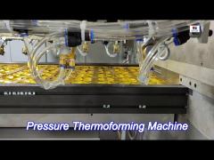 5-25mold/Min Pressure Thermoformer Machine Plastic Forming Machine CE Approved