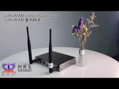 Entrada esperta de LoRa para o medidor da energia de LoRaWAN e a solução da leitura de medidor automática