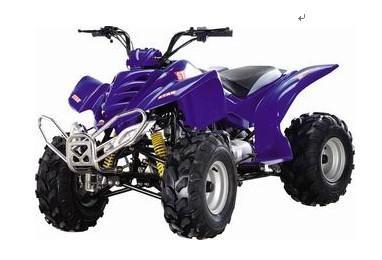 China 200cc ATV gas,single cylinder, 4-stroker,air-cooling ,electric start.good quality for sale