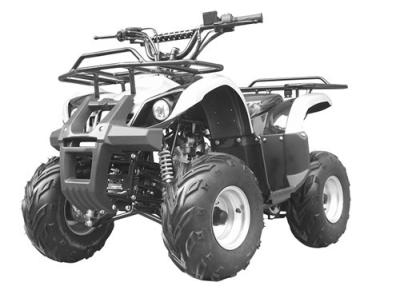 China ATV 110cc,125cc,4-stroke,air-cooled,single cylinder,gasoline electric start for sale