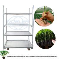 China 2 Directional Rubber Wheel Folding Flower Danish Trolley Push And Pull Type for sale