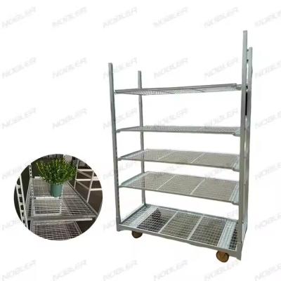 China Durable Dutch Flower Trolley Surface Treatment Hot Dip Galvanizing Metal Mesh Easy Assemble for sale