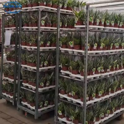 중국 높은 부하를 운반하는 온실 덴마크 꽃 트롤 파우더 코팅 판매용