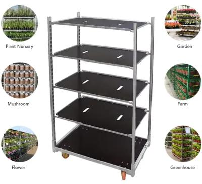 중국 핫 디프 젤바니징 PP 캐스터 1350*565mm 농업 심기 꽃 카트 온실 수확용 덴마크 트롤리 트롤리 판매용