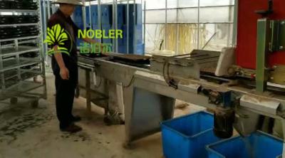 Cina Carrello olandese del fiore di trasporto della pianta in vendita