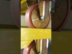 trole alto da flor da configuração
