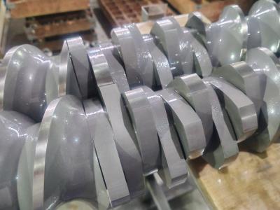 中国 リチウムイオン電池業界向けスクリューエレメントとニーディングブロック 販売のため