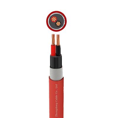 China Steel Wire Armoured Fire Resistant Cable 0.6 1.0kV Two Core Heat Proof Electrical Cable for sale