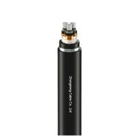 Quality YJLHV62 YJLHV22-18/30kV luminium Alloy Conductor XLPE Insulation PVC Sheath for sale