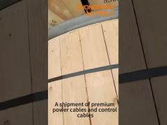 PVC 단열 전기 전력 케이블 3 코어 NYBY NYRY VV22 VV32 CU/PVC/STA SWA/PVC