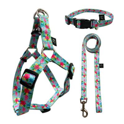 Chine Polyester fait sur commande de style de flamant de Logo Hunter Dog Leashes Cute Soft à vendre
