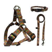 China Polyester Dog Harness Set 5kg Adjustable Pet Vest Collar Leash B2B OEM for sale