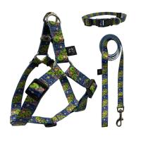 China Polyester Dog Harness Set 5kg Adjustable Pet Vest Collar Leash B2B OEM for sale