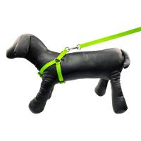 China Padded Dog Harness Set Soft No Pull Polyester Adjustable Harness Leash Collar for Small Medium Dogs for sale