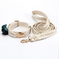 Cina Il guinzaglio stampato su ordinazione del cablaggio ha messo l'insieme di cuoio del guinzaglio del collare di cane dell'unità di elaborazione in vendita