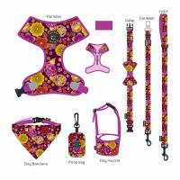 China 7 in 1 Padded Breathable Dog Harness No Pull Adjustable Pet Vest 900D Nylon for sale