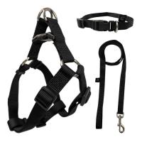 China Wholesale Custom Print 3 in 1 Adjustable No Pull Dog Harness Collar Leash Set Polyester 8kg for sale