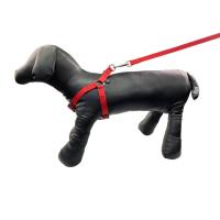 China Wholesale Custom Print 3 in 1 Adjustable No Pull Dog Harness Collar Leash Set Polyester 8kg for sale