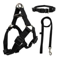 China Wholesale Custom Print 3 in 1 Adjustable No Pull Dog Harness Collar Leash Set Polyester 8kg for sale