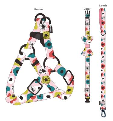 Cina Guinzaglio su ordinazione dell'imbracatura per cani del poliestere di Logo Collar Leash Harness Set in vendita
