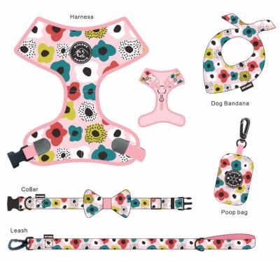 Cina Guinzaglio su ordinazione dell'imbracatura per cani del poliestere di Logo Collar Leash Harness Set in vendita
