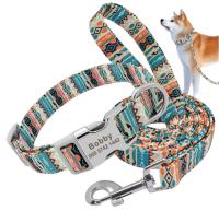 China Custom Nylon Dog Collar with Neoprene Handle 500 pcs MOQ OEM Logo for sale