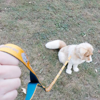 Cina Il guinzaglio universale molle del cablaggio ha messo i collari di cane di cuoio di lusso su ordinazione in vendita