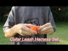 Silicone Imitation Leather Dog Collar And Leash Set Custom Waterproof Durable Adjustable