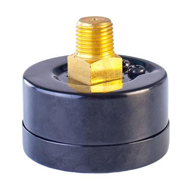 China Droge Brandstof 3MM 2,5 Duim 100 Algemene de Drukmaten van Psi 1/4 NPT Te koop