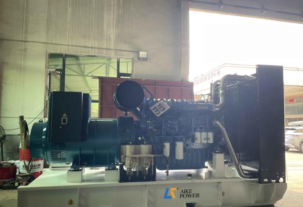 Quality 220kW 50/60Hz Switchable Open Type Weichai Diesel Generator Set for sale