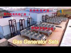 300kw 50hz natural gas generator set ac300-ng 375kva