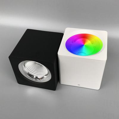 Cina 7W 9W 12W 16W CCT Dimmabile Rgb Rotondo Incastrato Downlight Wifi Smart LED Spotlights in vendita