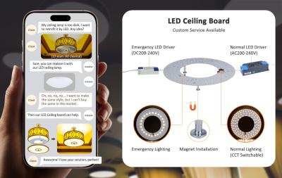 China Customized Dimmable LED Ceiling Lamp Energy Saving 100V-220V for sale